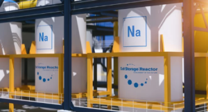 Thorium-Fuelled Molten Salt Reactors - A Sustainable Pathway to a Low ...
